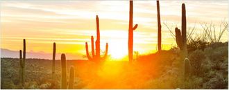 Wallario Glasbild Sonnenaufgang in der W&uuml;ste - 50 x 125 cm Wandbilder Glas in Premium-Qualit&auml;t: Brillante Farben, freischwebende Optik