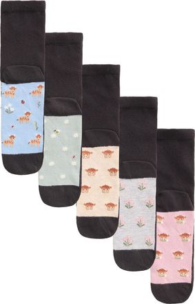 Next Socken