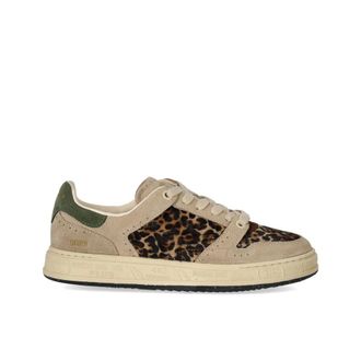 Premiata Femme, Chaussures, Beige, Taille: 41 EU Quinnd 7647 Baskets