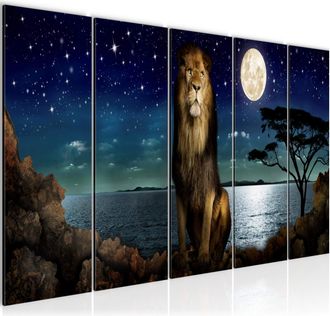 Runa Art Bild Afrika Löwe Wandbilder auf Vlies Leinwand 5 Teilig Wanddekoration Wohnzimmer Schlafzimmer 022956a