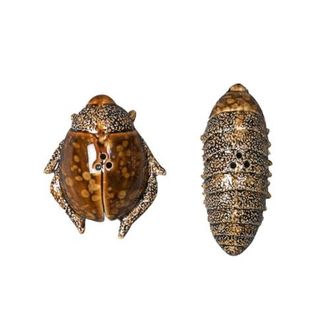 ByOn Byon Bug Salz- und Pfefferstreuer Set, braun, handgefertigte Porzellan-Streuer im au&szlig;ergew&ouml;hnlichen Insekten-Design, 5294700804