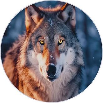 Generic Tapis Rond de Salon Luxe Loups dans Un Champ de Neige r&eacute;aliste pour Salle &agrave; Manger Bureau Lavable en Machine et Poil Court 180 cm (Round) Tapis Chambr