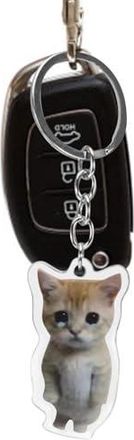 Generic Porte-cl&eacute;s en acrylique 2D avec cordon pour cl&eacute;s de voiture, sacs &agrave; dos, sacs &agrave; main, et adultes, Poor Cat 4 cm [Boucle ronde], Refer to description