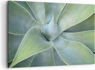 Arttor Wandbilder Dekoration Wohnzimmer Saftig Agave Botanik Bilder auf Leinwand 120x80cm Leinwandbild Schlafzimmer K&uuml;che Deko Wand Kunstdruck Art Gro&szlig; XXL W