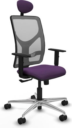 Piqueras y Crespo H&ouml;henverstellbarer Stuhl, mit 1D-Armlehnen, h&ouml;henverstellbarer Lendenwirbelst&uuml;tze und festem Kopfteil, ausgestattet mit Sincro 3 Positionen und Schnei