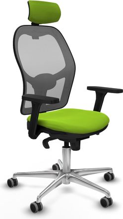 Piqueras y Crespo Schreibtischstuhl mit Gummir&auml;dern mit 3D-Armen, h&ouml;henverstellbare Lendenwirbelst&uuml;tze und h&ouml;henverstellbares Kopfteil, Grau/Pistazie