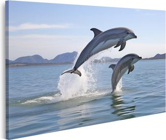 Islandburner Bild auf Leinwand Delfine Springen Ueber Wasser Vor Bergen Und Blauem Himmel Bilder Wandbilder Poster