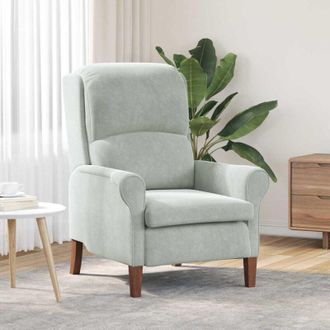 vidaXL Fauteuil Gris clair 76 x 94 x 102 cm Velours Vidaxl