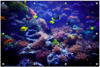 Wallario Outdoor-Poster f&uuml;r Garten oder Balkon Farbenwelt unter Wasser, Motivbanner Gr&ouml;&szlig;e: ca. 80 x 120 cm, Outdoor-Bild