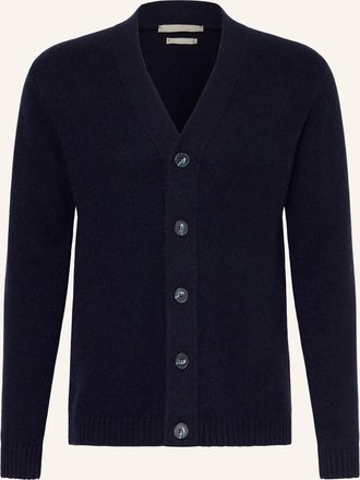Daniele Fiesoli Daniele Fiesoli Strickjacke Aus Cashmere blau