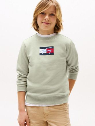 Tommy Hilfiger Sweatshirt TOMMY SCRIPT FLAG SWEATSHIRT für Kinder bis 16 Jahre, Flag-Logo-Druck