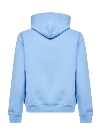 Polo Ralph Lauren Mens Hoodie Austin Blue Cotton Light Sweatshirts Sweater