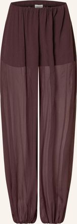 ARAKII Arakii Hose rot