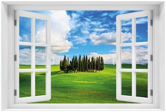 Wallario Poster - Kleiner Wald inmitten Einer weiten Wiese in Premiumqualität, Größe: 61 x 91,5 cm mit Fenster-Illusion (Maxiposter)