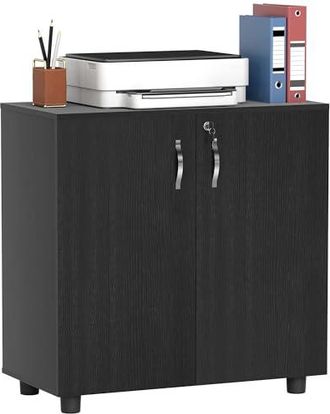 Vinsetto Armoire &agrave; documents verrouillable, armoire de bureau avec 2 portes et 2 &eacute;tag&egrave;res, armoire &agrave; dossiers en alliage daluminium avec poign&eacute;e, pour la maiso