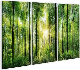 Islandburner Prime Bild auf Leinwand grüner Wald mit Bäumen und Sonnenlicht Poster, Leinwandbild, Wandbilder