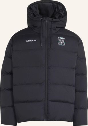 adidas Liverpool Fc Eqt Daunenjacke schwarz