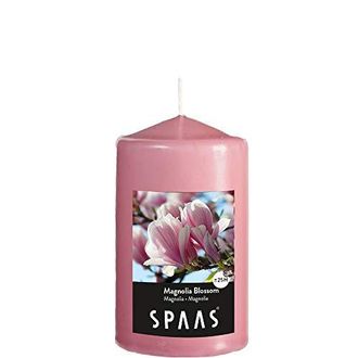 Spaas 12 Duft-Stumpenkerzen Zylinder Paraffinwachs Rose Blush D 60 mm H 100 mm