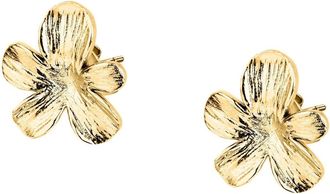 Cleor Boucles doreilles en acier