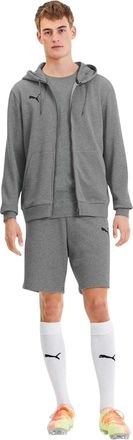 Puma TeamGoal 23 Casuals Kapuzenjacke f&uuml;r Herren (Grau)