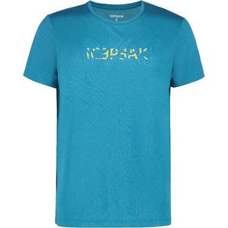 Icepeak Herren Shirt BEARDEN