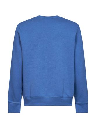 Polo Ralph Lauren Mens Sweatshirt Polo Bear Light Blue Cotton Sweatshirts Sweater