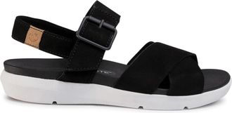 Timberland Sandalen Timberland Wilesport Lthr Sandal TB0A27T60151 Schwarz