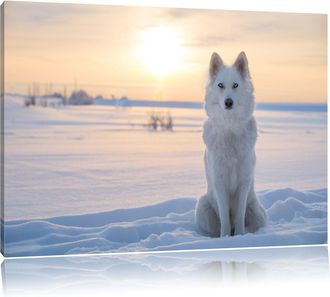 Pixxprint Weißer Wolf im Schnee, Größe: 120x80cm, Leinwandbild, fertig gespannt, Wandbild, Dekoration, Kunstdruck, kein Poster