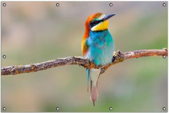 Wallario Outdoor-Poster f&uuml;r Garten oder Balkon Vogel auf AST, Motivbanner Gr&ouml;&szlig;e: ca. 100 x 150 cm, Outdoor-Bild