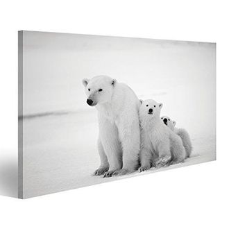 Islandburner Tableau sur toile Ours polaire avec oursons Ours polaire arctique Cadre Affiche Poster Murale Tableaux