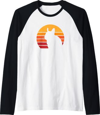 Jimbeels Degu Retro Motiv - Vintage 80er Jahre Stil f&uuml;r Nagerfans Raglan