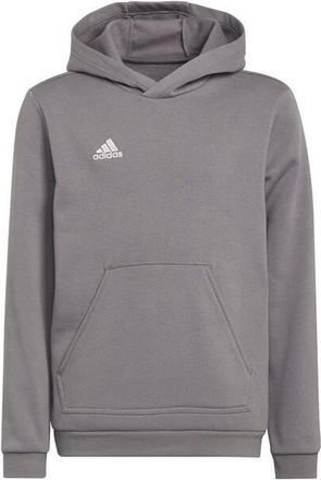 adidas Kinder Kapuzensweat Entrada 22 Sweat