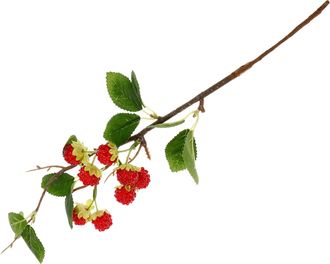 Cabilock K&uuml;nstliche Himbeere Aus Kunststoff Naturgetreu Geruchsneutral Langlebig Realistische Fr&uuml;chtesimulation Als Kinderlernspielzeug Und Foto Requisite F&uuml;r 