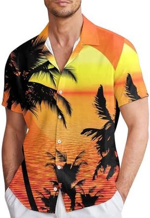 Generic Chemise hawa&iuml;enne de plage pour homme &agrave; manches courtes boutonn&eacute;e d&eacute;t&eacute; cara&iuml;bes graphique tropical dr&ocirc;le chemises de croisi&egrave;re d&eacute;contract&eacute;es hawa&iuml;enne