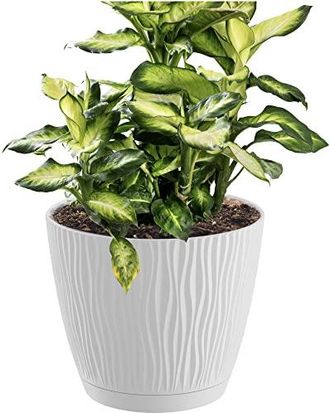 Prosperplast SANDY P 2,3L Topf, Abmessungen (mm) 168x168x157, Farbe Weiß