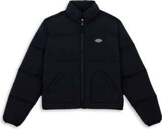 Dickies Winterjacke SAMMERDALE