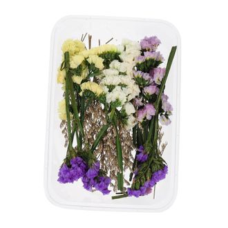 Valiclud 1 Schachtel Getrocknete Blumen f&uuml;r DIY Kerzen und Vasen Dekoration Nat&uuml;rlich Haltbar Vielseitig Einsetzbar f&uuml;r Tischdeko Partys und Handwerksprojekte 