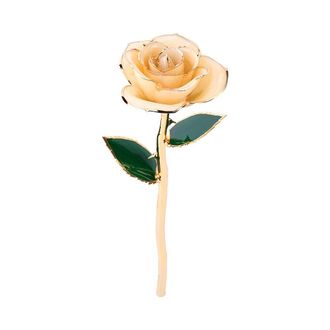 Brrnoo 24 K Gold Rose, Lange St&auml;ngel Rose, bestes Romantisches f&uuml;r Freundin Frau Frauen zum Valentinstag Muttertag Jahrestag Geburtstag Rose Forever Love (we