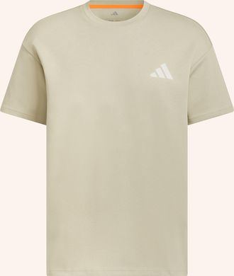 ADIDAS TERREX Adidas Terrex T-Shirt Graphic gruen