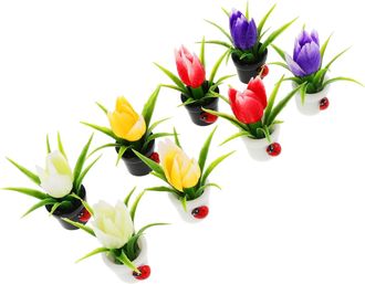 NUOBESTY 8 St&uuml;ck Miniatur Kunstpflanzen im Topf K&uuml;nstliche Bonsai Dekoration Kompakte Tisch Gartendeko Realistische Puppenhaus Vasen Vielseitige Mikro Landscha