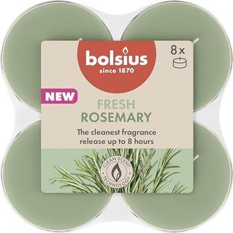 Bolsius Bolsius - Rosemary - Maxi Duft Theelichter - 8 Stück - Brenndauer von 8 Stunden - Natürliche Extrakte - Enthält Veganes Wachs - Ohne Palmöl