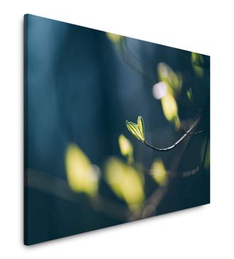 Paul Sinus Art Knospen an einem Ast 60 x 90 cm Inspirierende Fotokunst in Museums-Qualit&auml;t f&uuml;r Ihr Zuhause als Wandbild auf Leinwand in