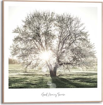 Reinders Gerahmtes Bild, Morgensonne, Wohnzimmer, Poster, Wanddeko, Room Decor, MDF, Gr&uuml;n, 50x50cm