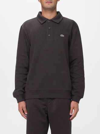 Lacoste Polo LACOSTE Herren Farbe Natural
