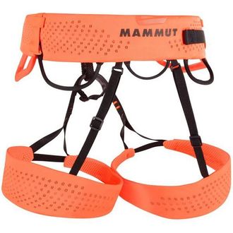 Mammut Sender Harness