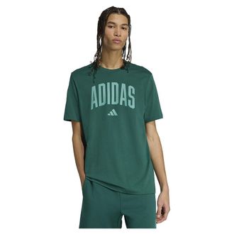 adidas Mens Collegiate Lineage Graphic T-Shirt Collegiate Green M