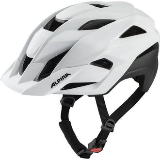 Alpina Helm STAN MIPS