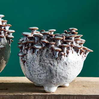 Werner Vase céramique aux Champignons 20x20x17cm