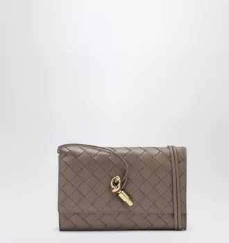 Bottega Veneta Andiamo pouch in beige Pinecone