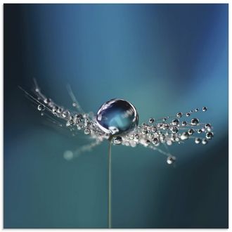 Artland ARTland Wanddeko Glasbilder Wandbild Glas Bild einteilig 50x50 cm Quadratisch Blumen Pusteblume Wassertropfen Natur Modern Blau U1TB